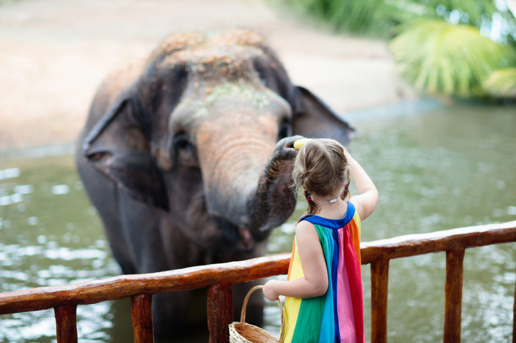 Experience Being A Zoo Keeper For A Day – Planning Your Adventure