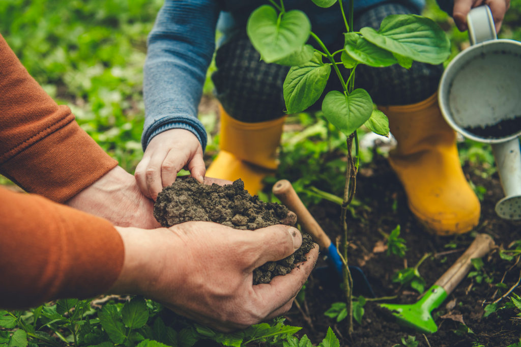 Commit to Planting 1000 Trees in Your Lifetime – Planning Your Adventure